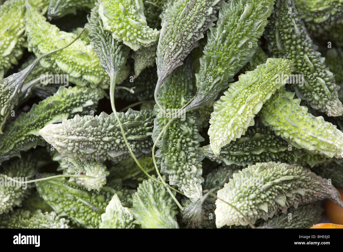 Indian market vegetables Stock Photo - Alamy