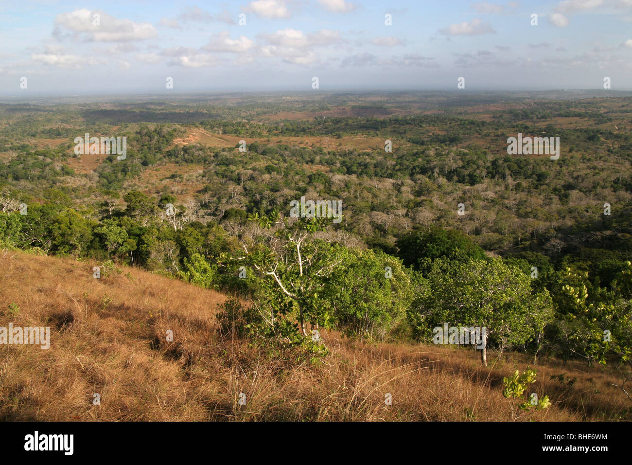 Shimba Hills National Reserve, Kenya Stock Photo - Alamy