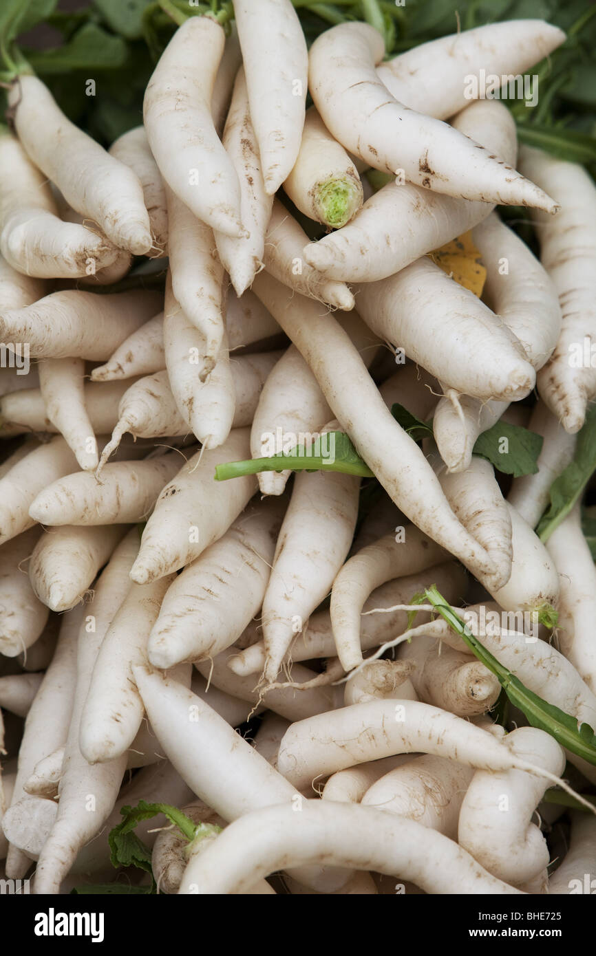 Indian market vegetables Stock Photo - Alamy