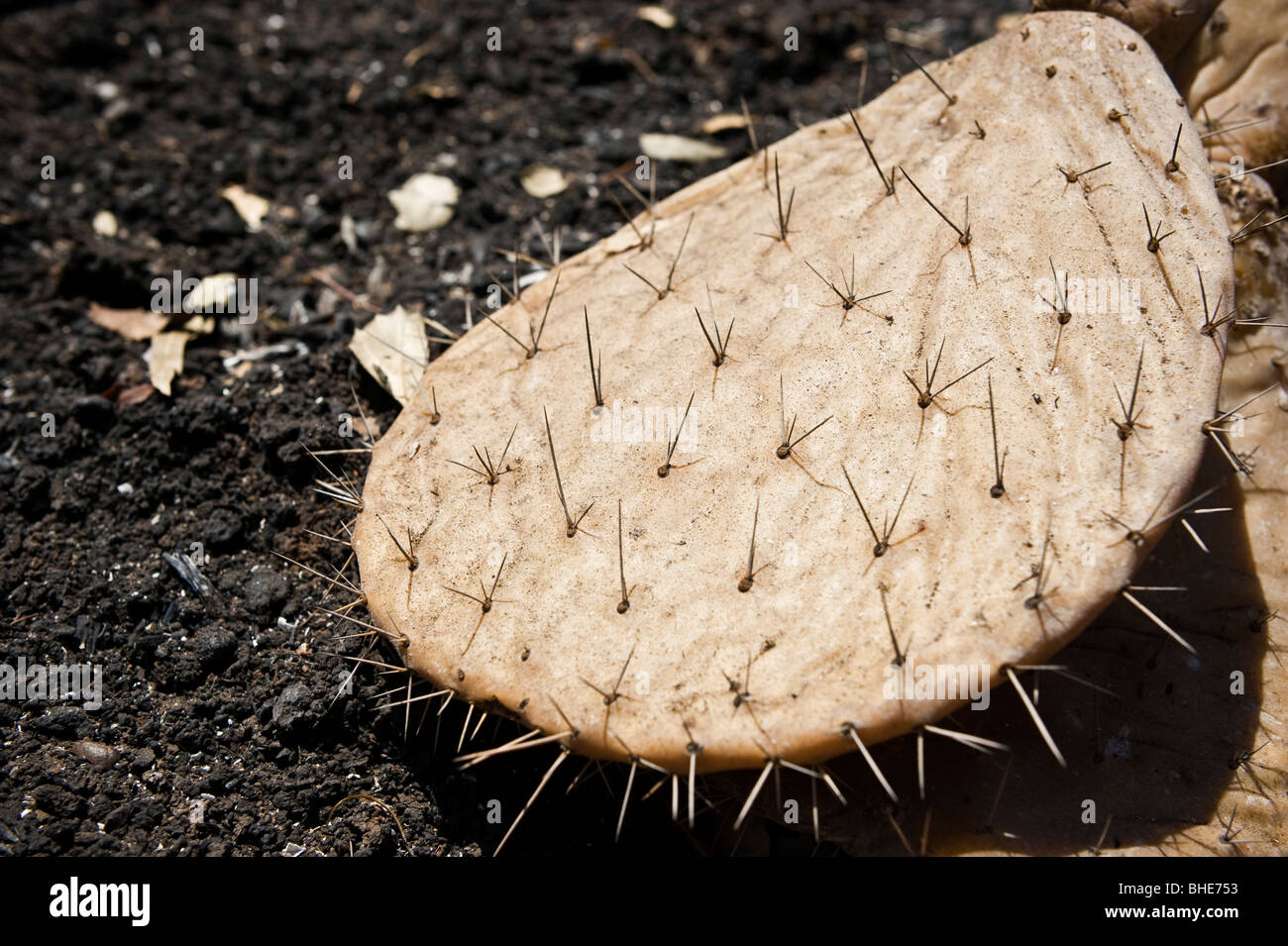 Jesusita fire hi-res stock photography and images - Alamy