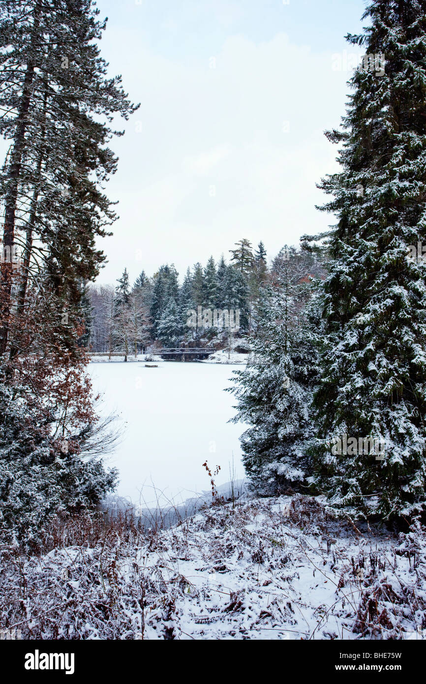 Time in the forest hi-res stock photography and images - Alamy