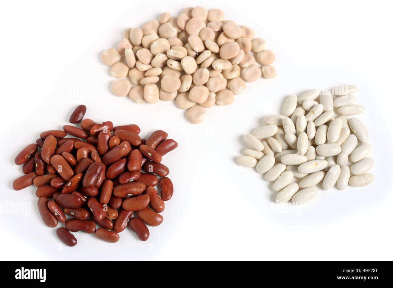 Different varieties of dried beans, red kidney beans (left), thermos ...