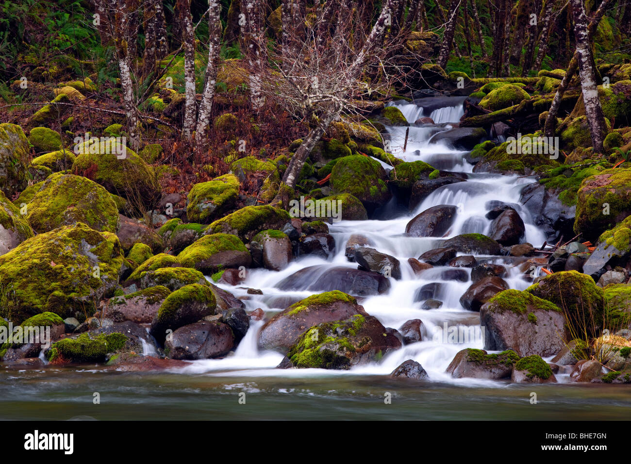 A small tributary cascades into Oregon's Quartz Creek as it rushes ...