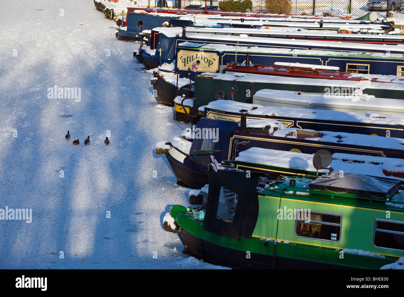 Liverpool duck canal hi-res stock photography and images - Alamy