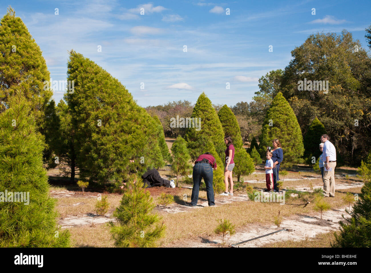 Florida select hi-res stock photography and images - Alamy