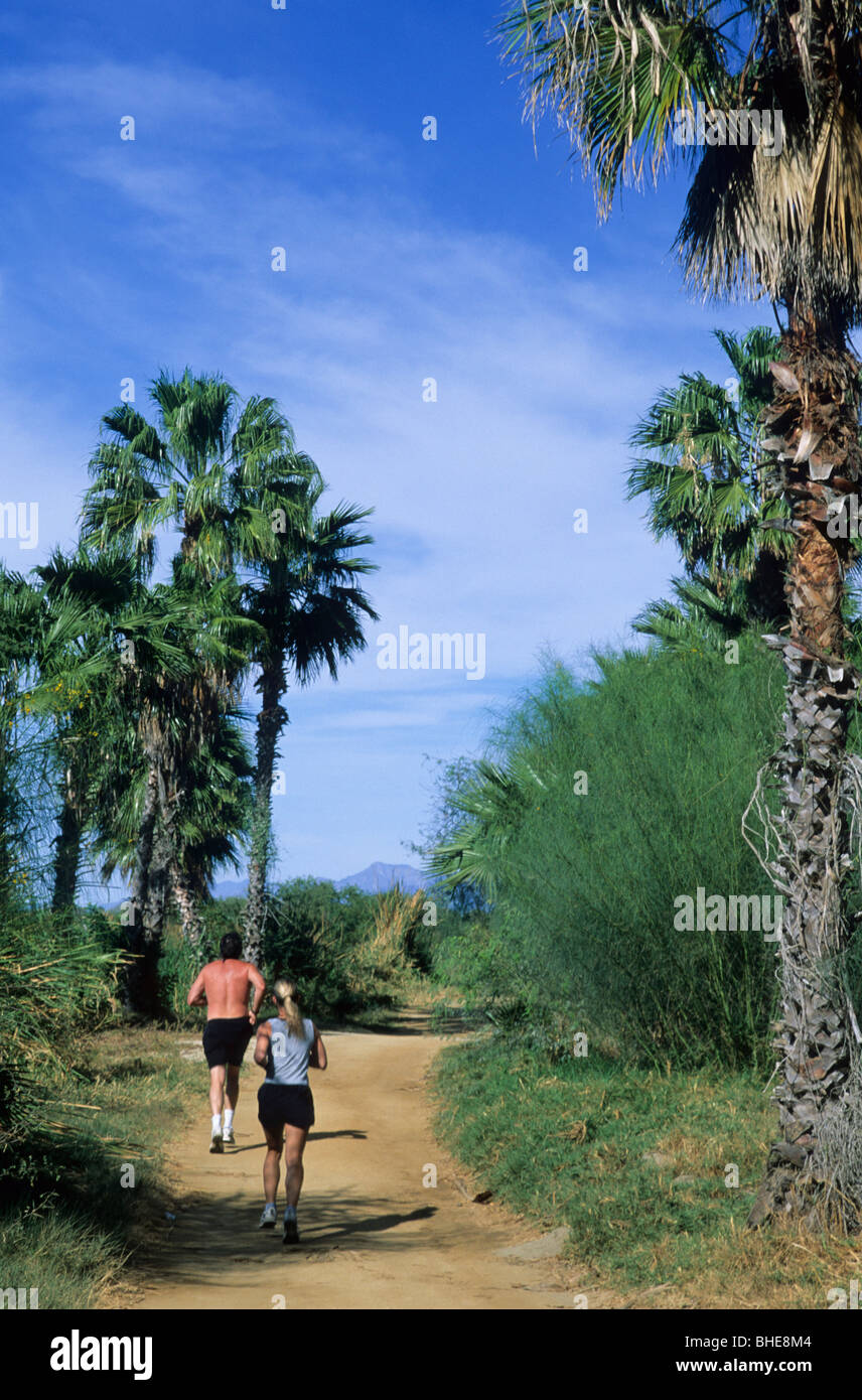 Couple running through palm trees Stock Photo - Alamy