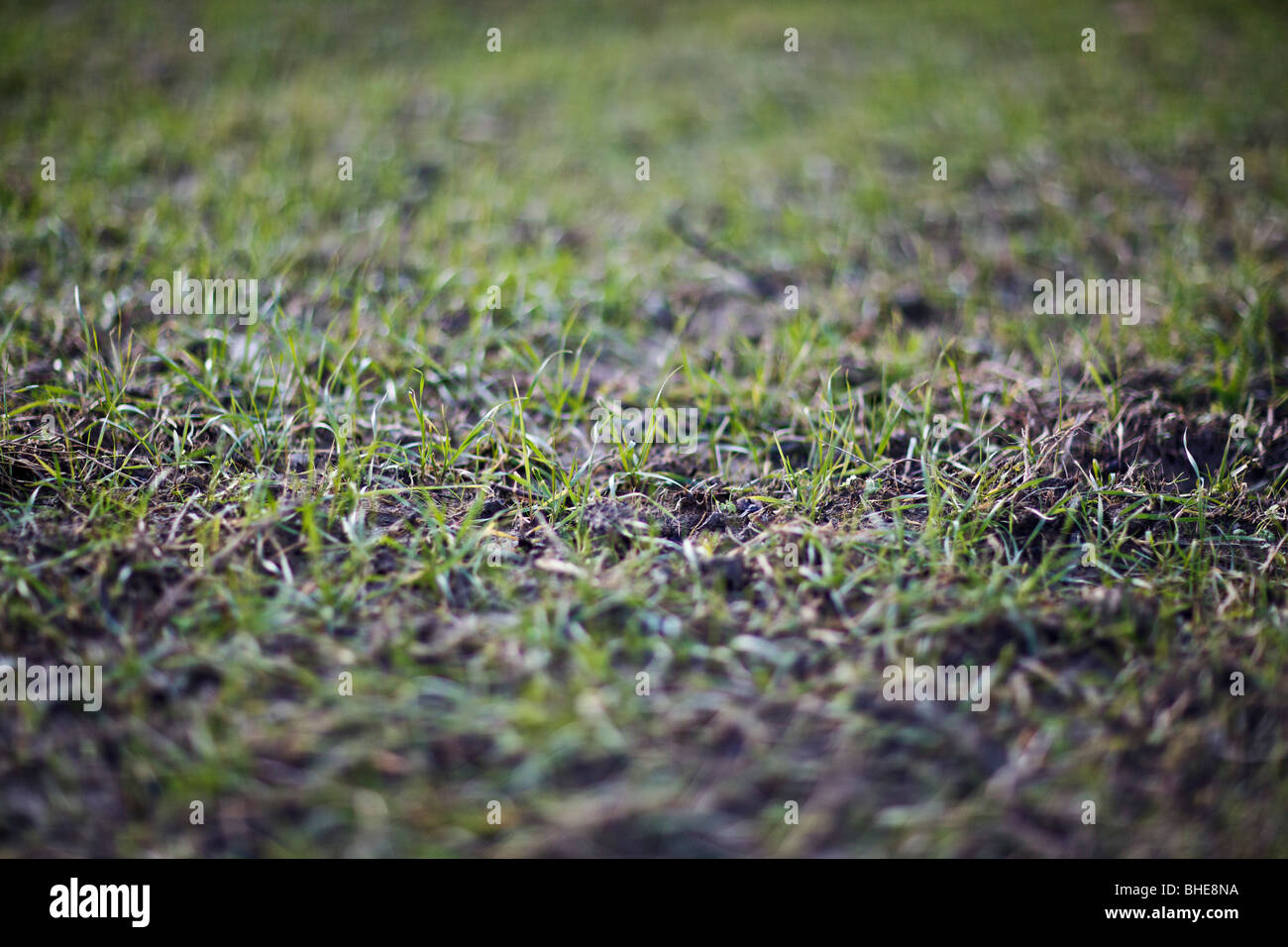 Breaking ground vegetable garden hi-res stock photography and images ...