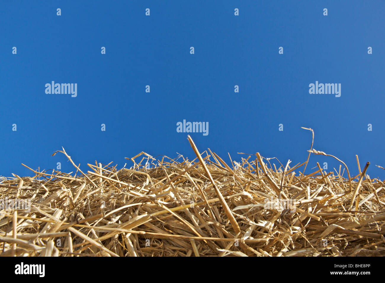Close-up on edge of round straw bale against strong blue sky Stock ...