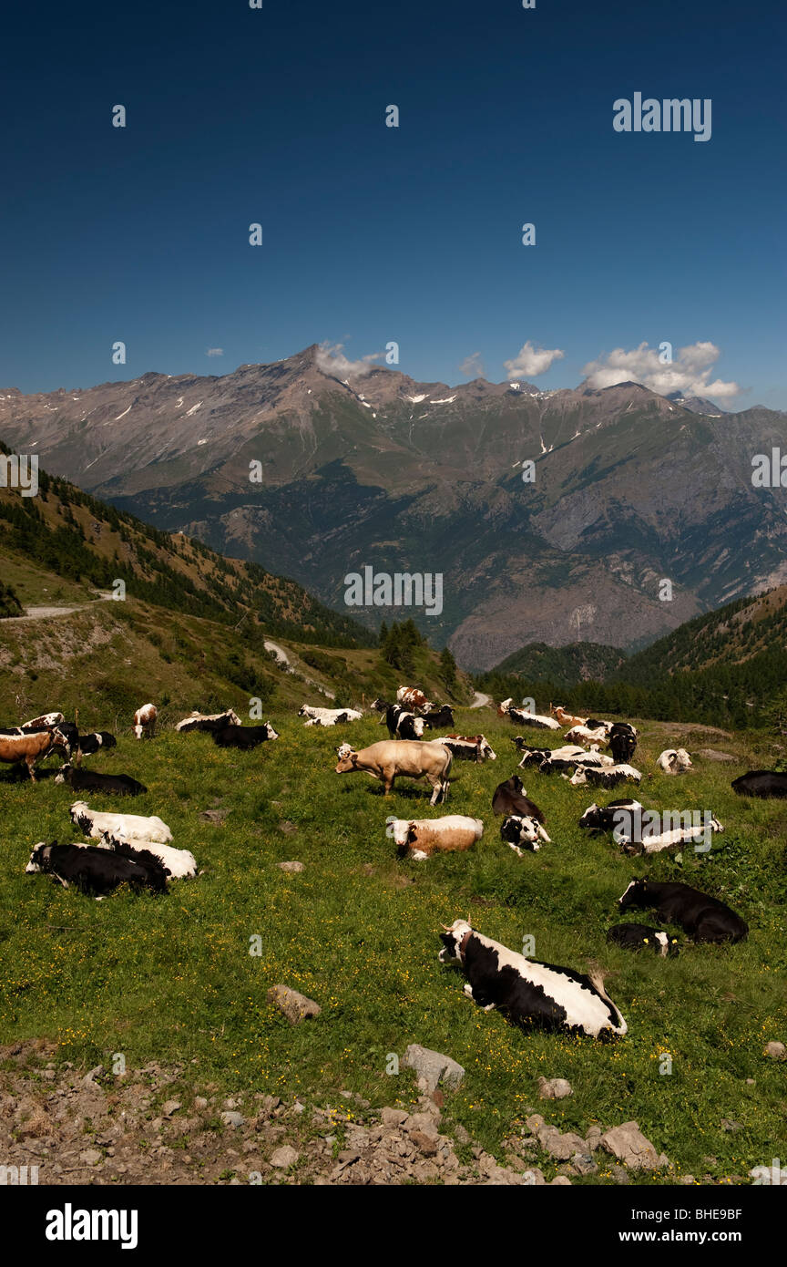 High pastures hi-res stock photography and images - Alamy