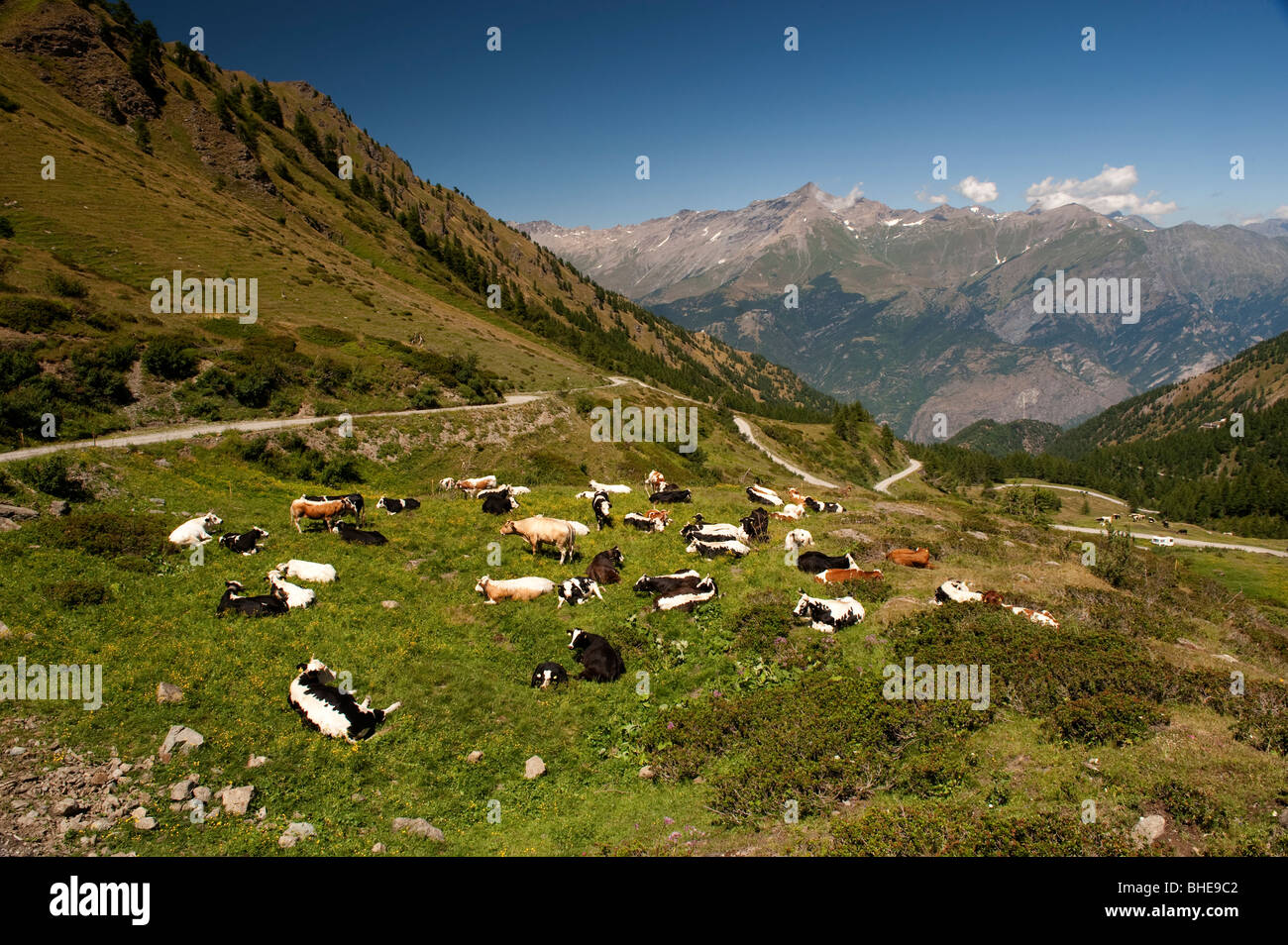 High pastures hi-res stock photography and images - Alamy