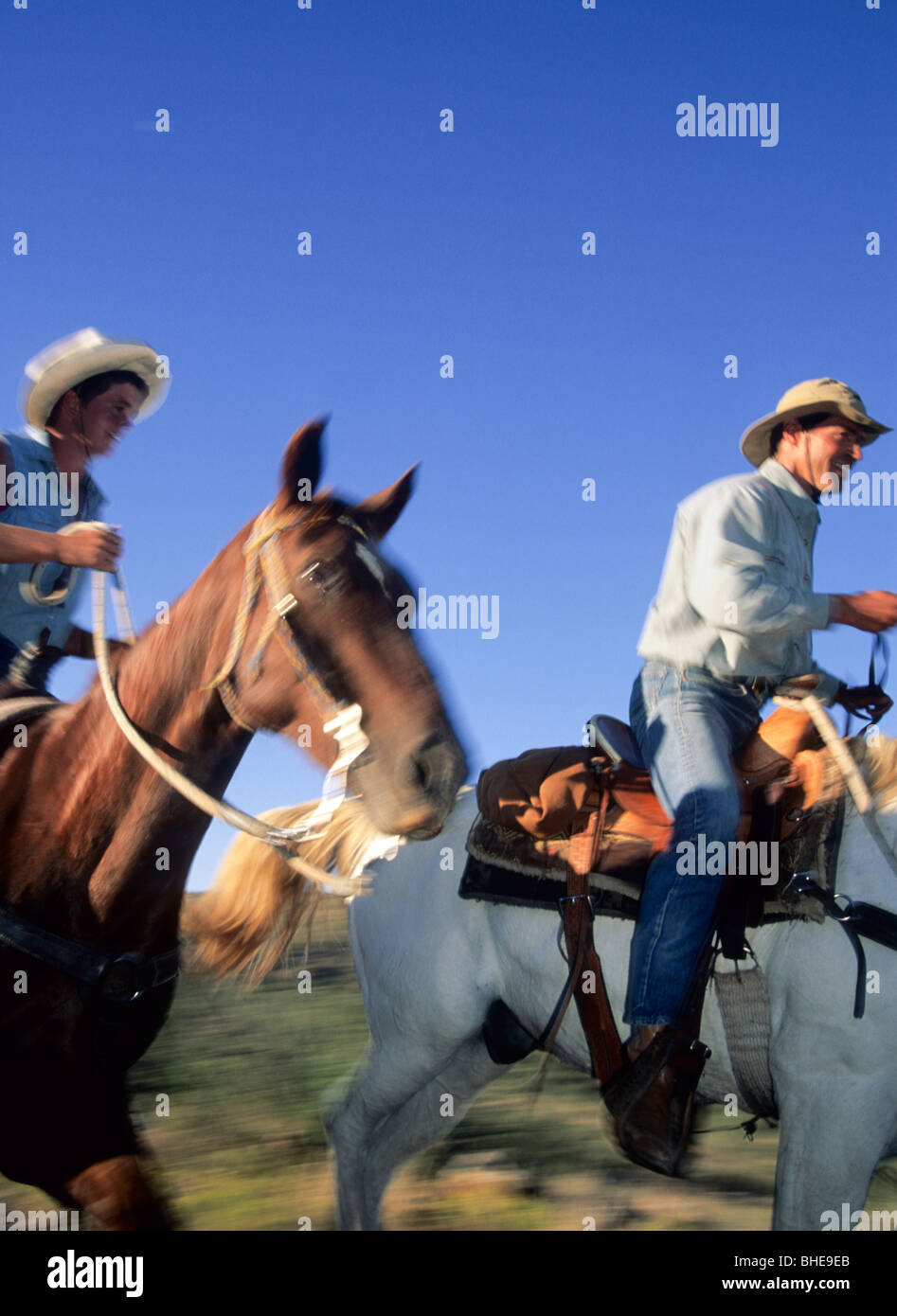 People on horses Stock Photo - Alamy