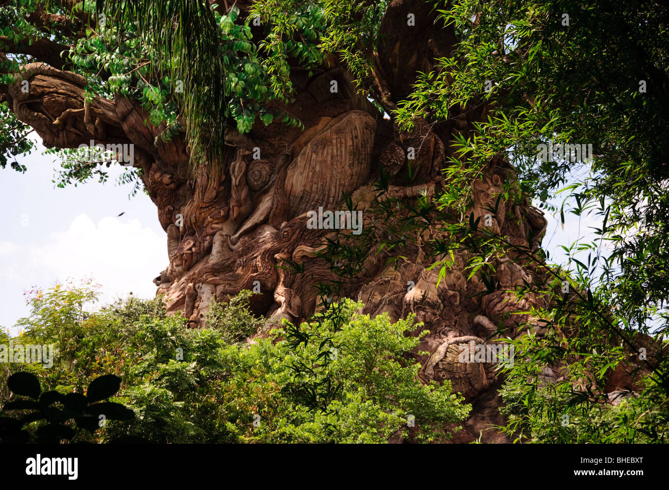 tree of life walt disney world florida FL orlando the symbol of the ...