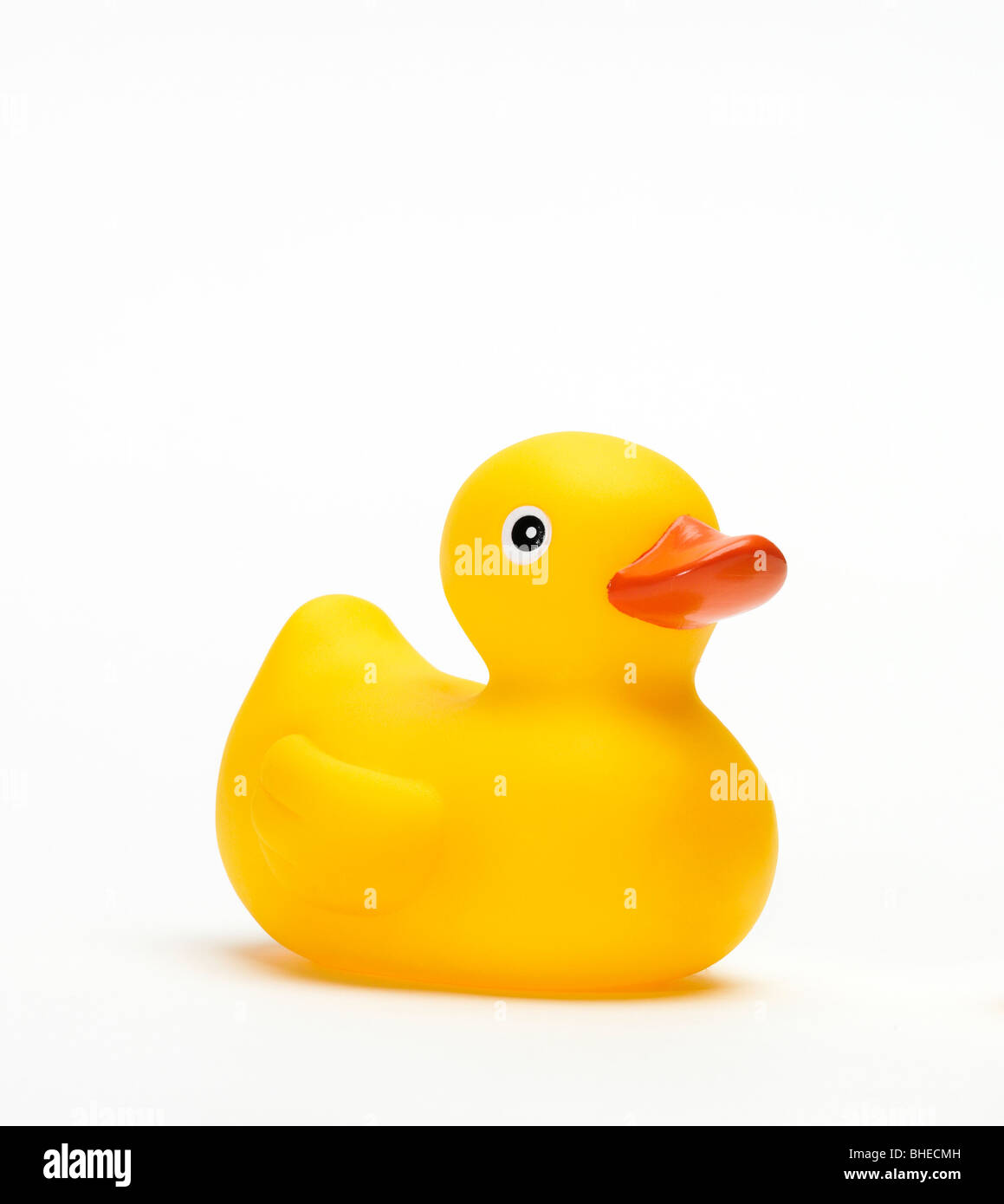 Mummy duck hi-res stock photography and images - Alamy