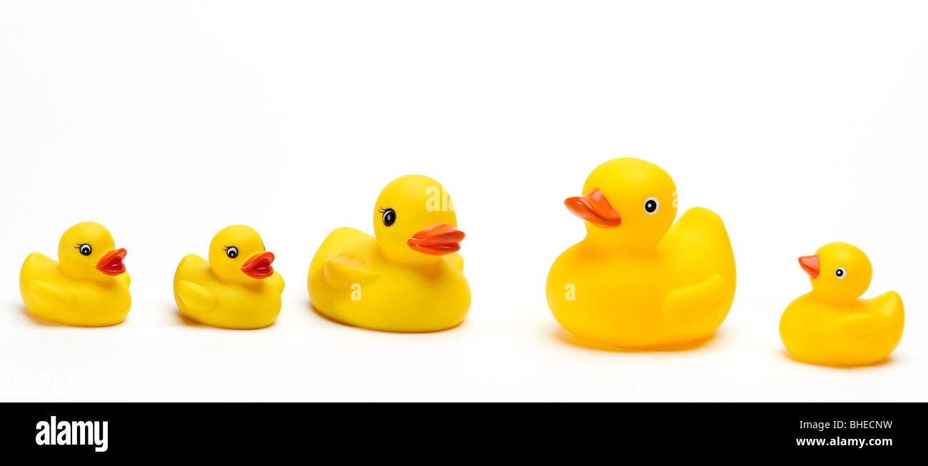 Plastic yellow ducks Cut Out Stock Images & Pictures - Alamy