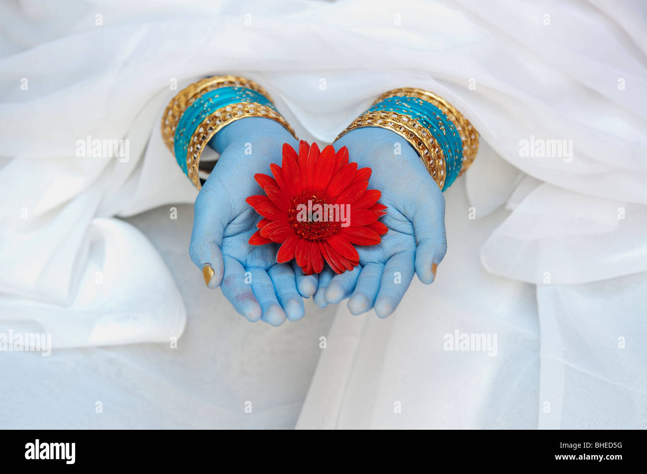 Indian girl offering a red flower with blue painted hands and bracelets ...