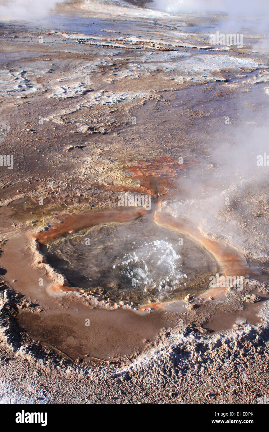 Geysers del Tatio, Chile Stock Photo - Alamy