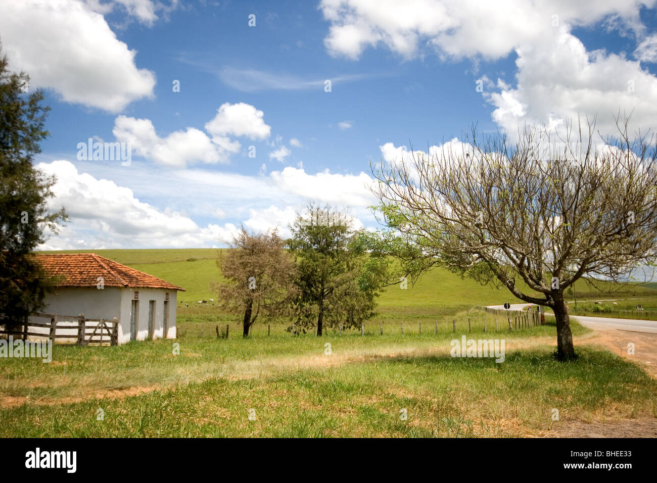 Rural landscape in Brazil Stock Photo - Alamy