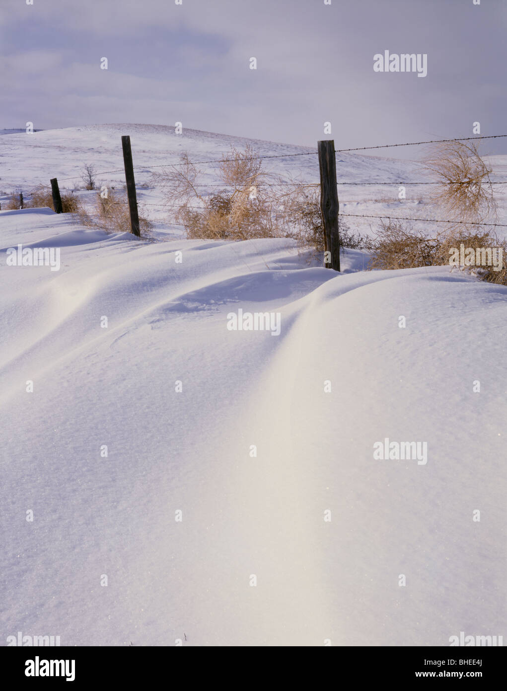 North dakota winter hi-res stock photography and images - Alamy