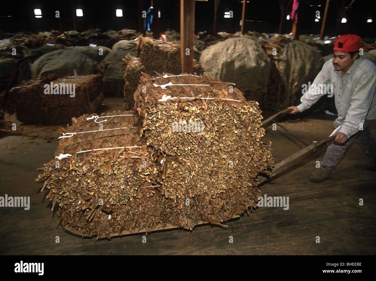 Farmers tobacco warehouse hi-res stock photography and images - Alamy