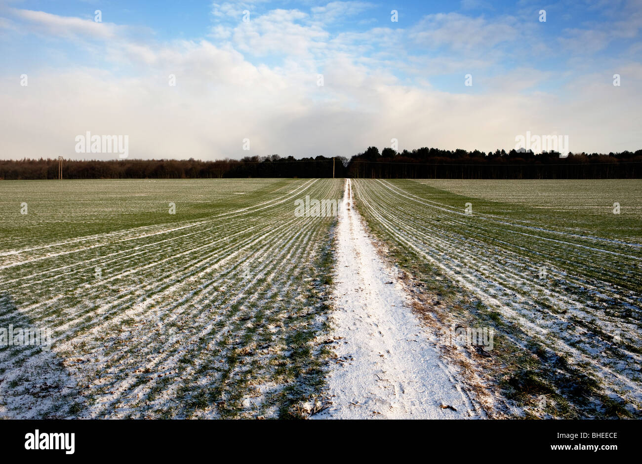 Winter Fields in the Snow Stock Photo - Alamy