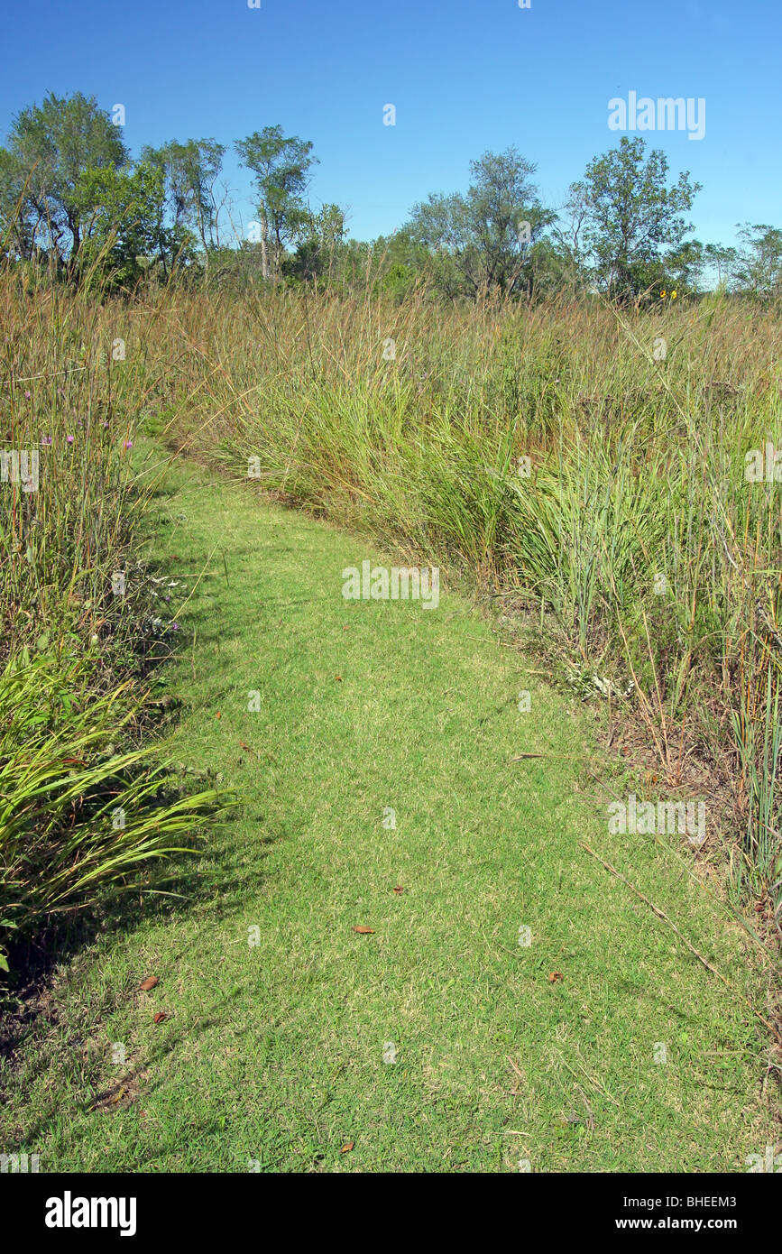 Cut through grass hi-res stock photography and images - Alamy