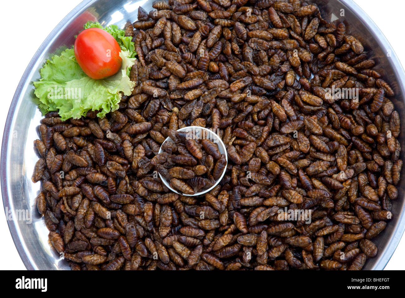 Plate of Edible Fried Insects, a meal, eat, bug, nutrition, tasty ...