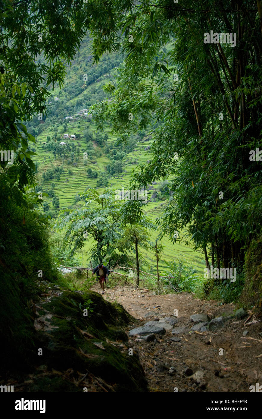 Pathway leading to Bahundanda Village, Lamjung District, Annapurna ...