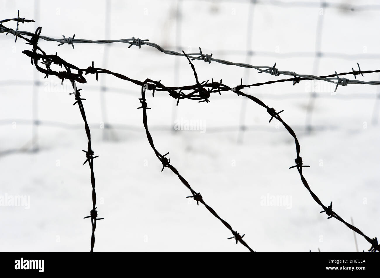 Barbed wire against backdrop hi-res stock photography and images - Alamy
