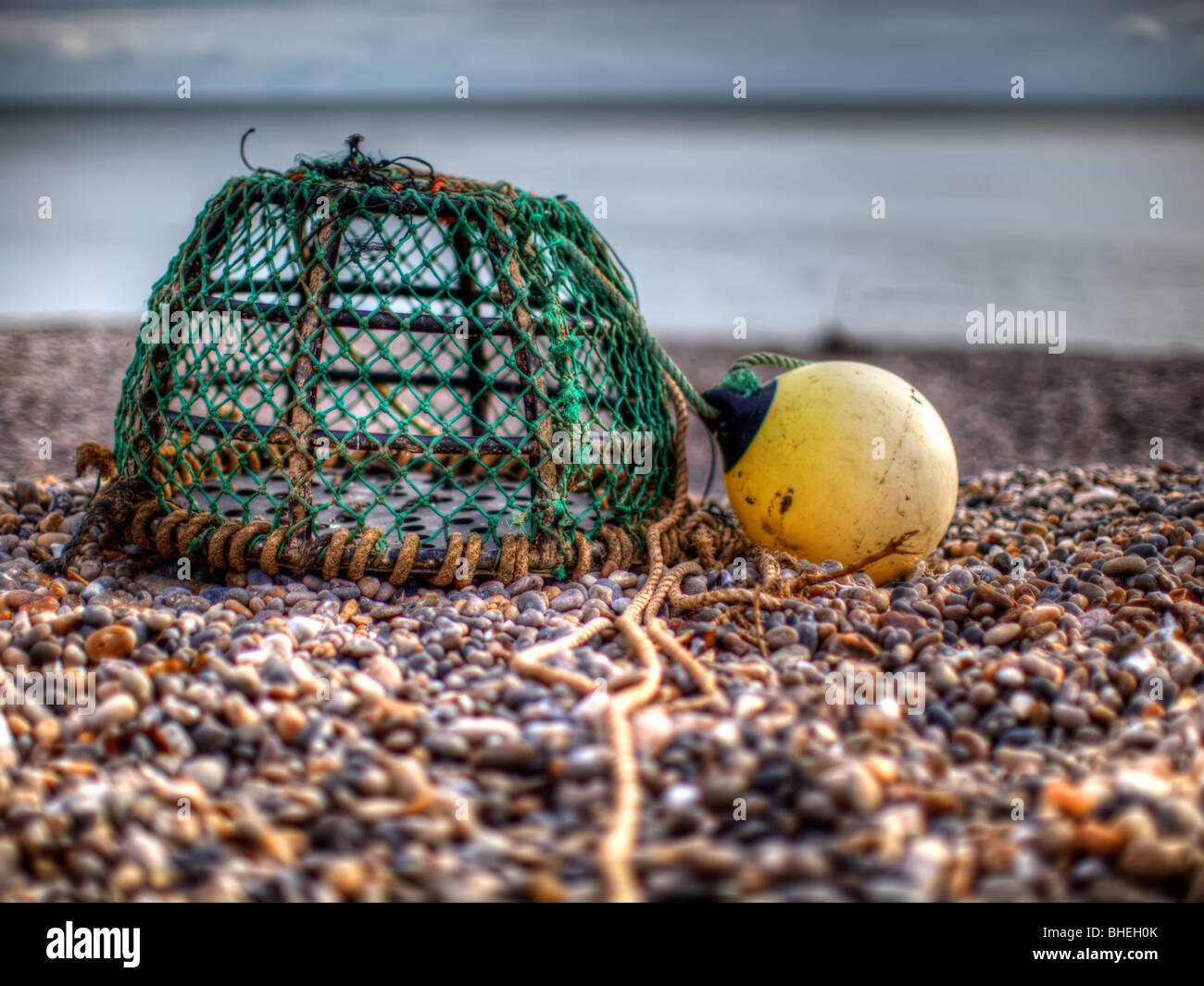 Devon crab hi-res stock photography and images - Alamy
