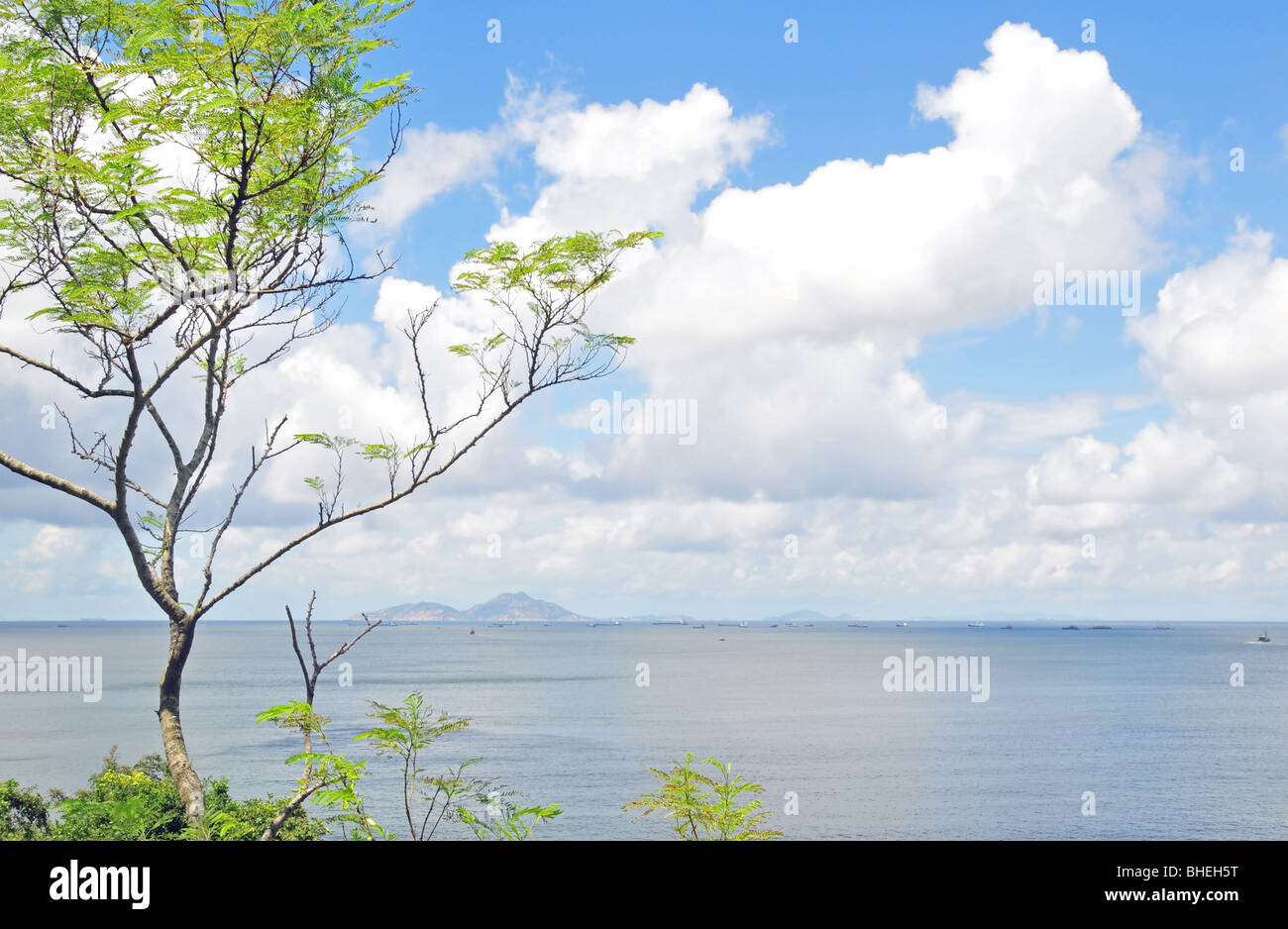 View of the South China Sea, a small acacia tree on the left side, from ...
