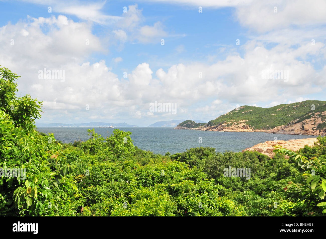 1 wide expanse lower height bushes centre foreground hi-res stock ...