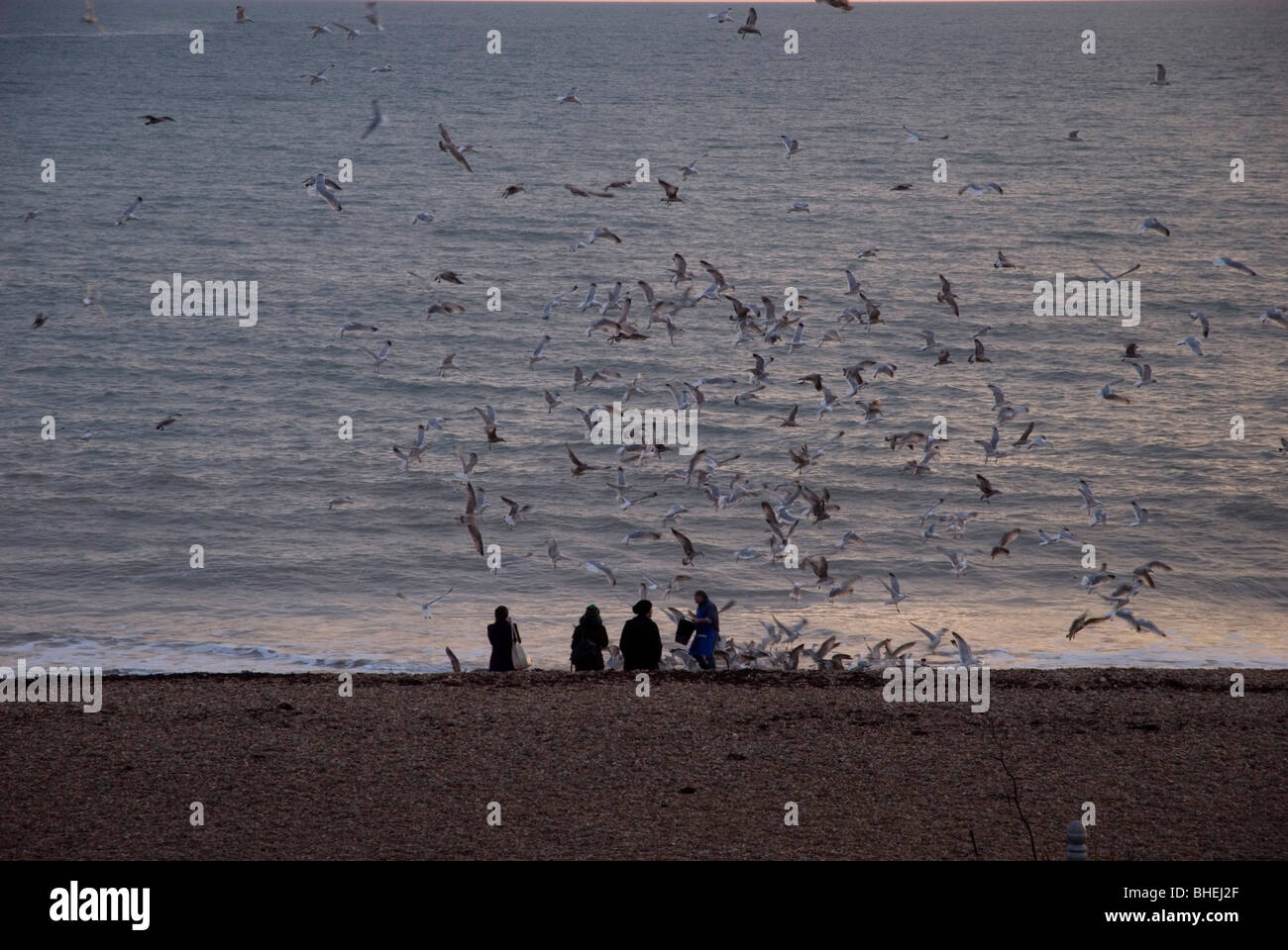 Fisherman throwing waste into the sea Stock Photo - Alamy