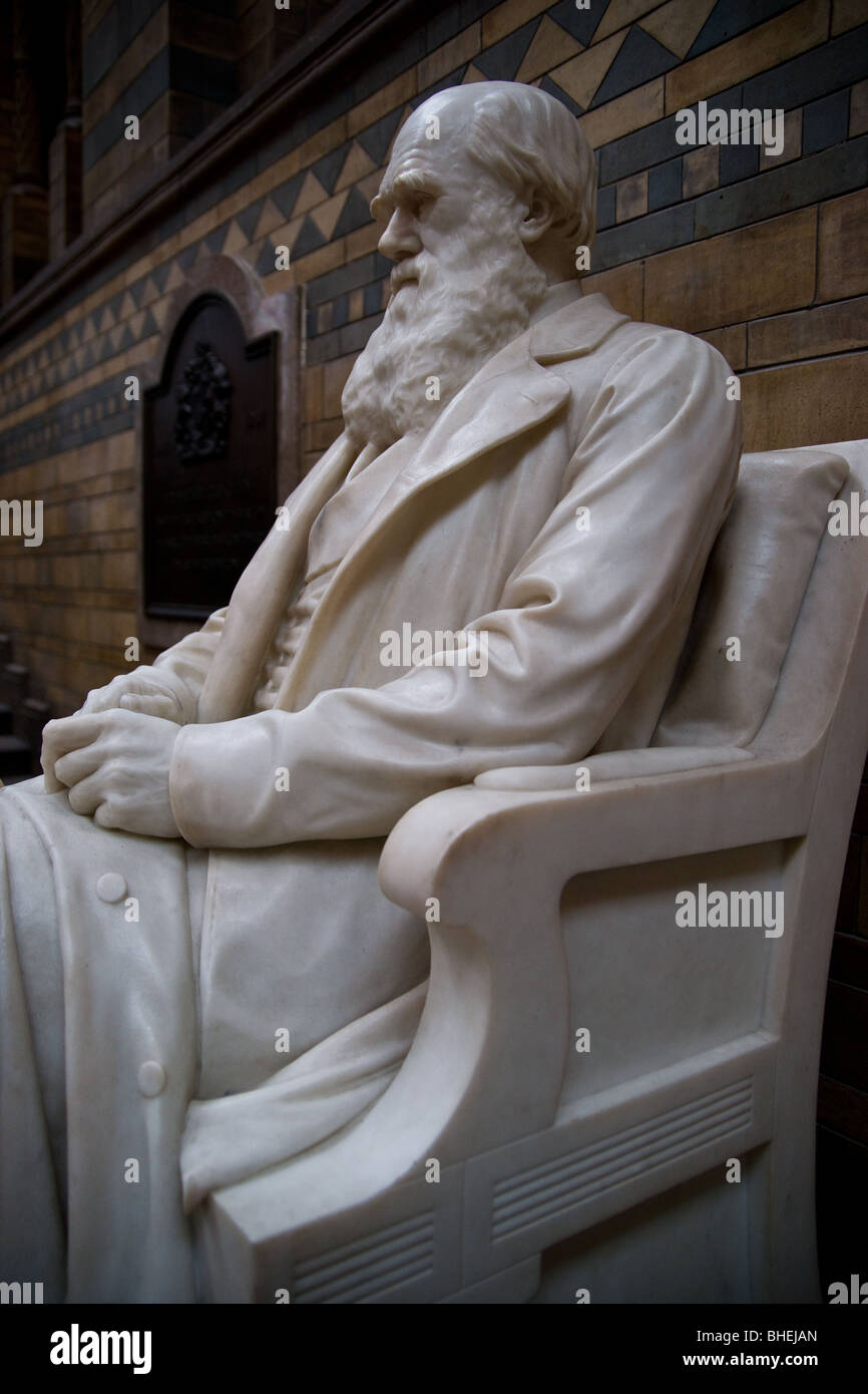 Statue of Charles Darwin Stock Photo - Alamy