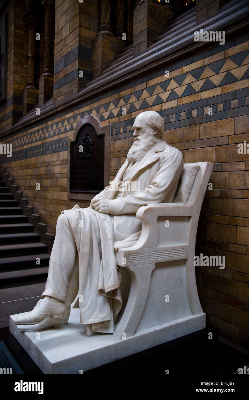 Statue of Charles Darwin Stock Photo - Alamy