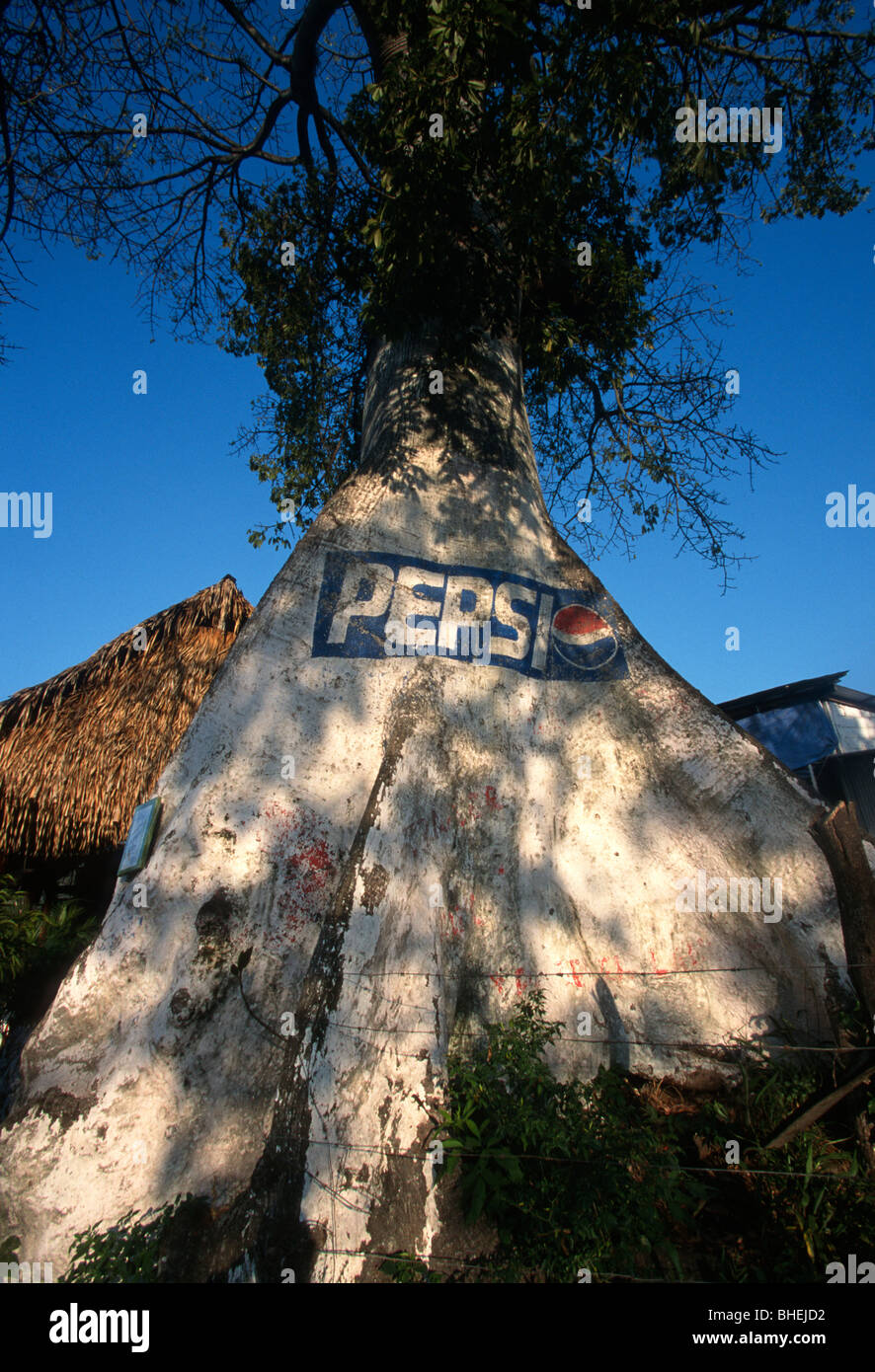 Pepsi soft drink advertisement painted onto a tree, Catemaco, Mexico ...