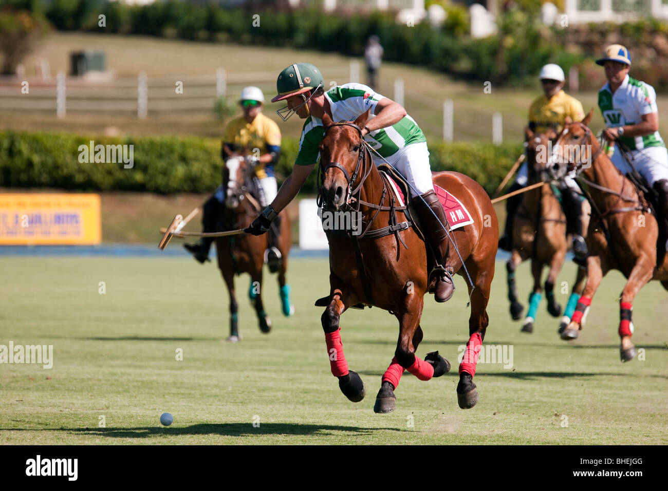 Polo ground hi-res stock photography and images - Alamy