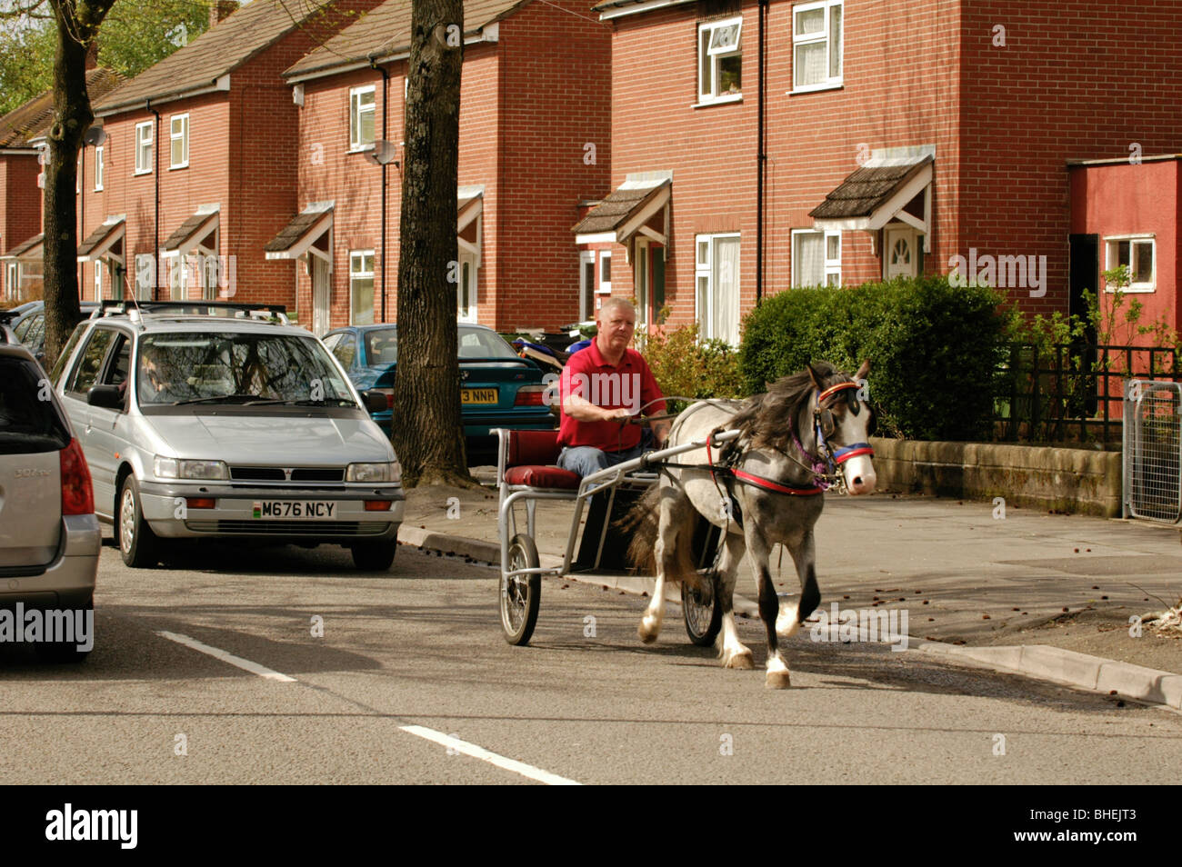 Man driving pony and trap on street in suburb of Cardiff South Wales UK ...