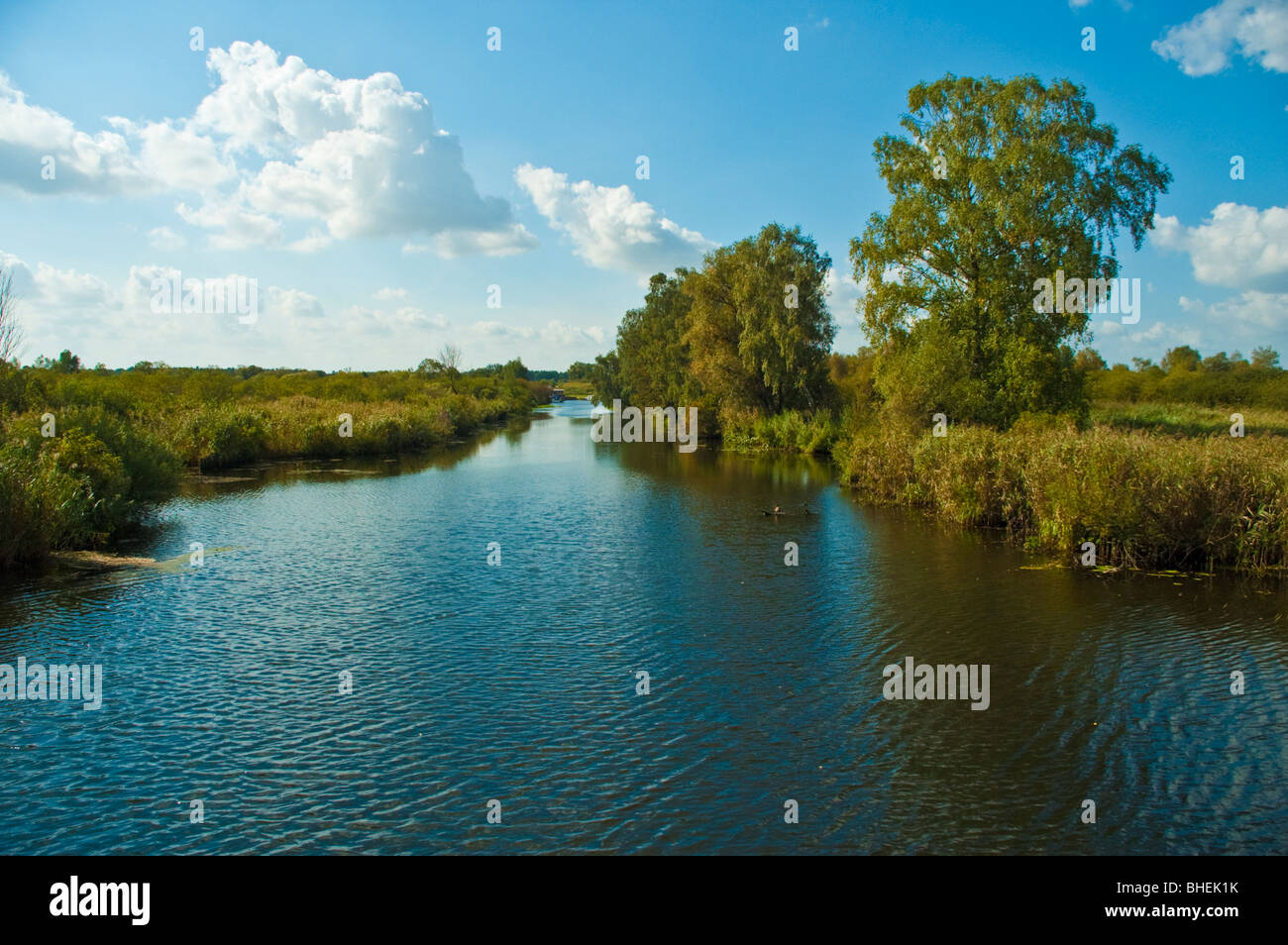 Demmin germany hi-res stock photography and images - Alamy