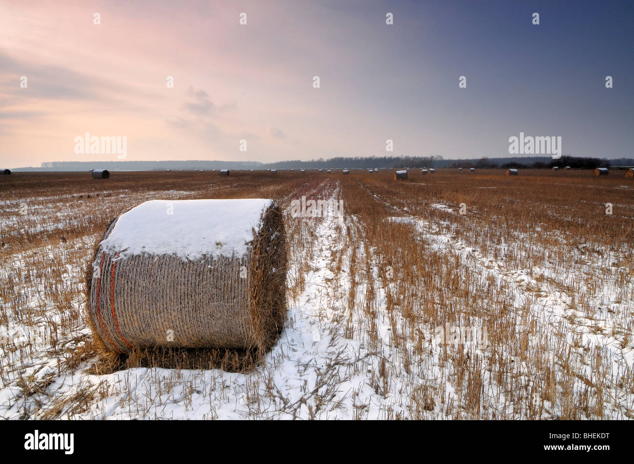 Field, light snow hi-res stock photography and images - Alamy