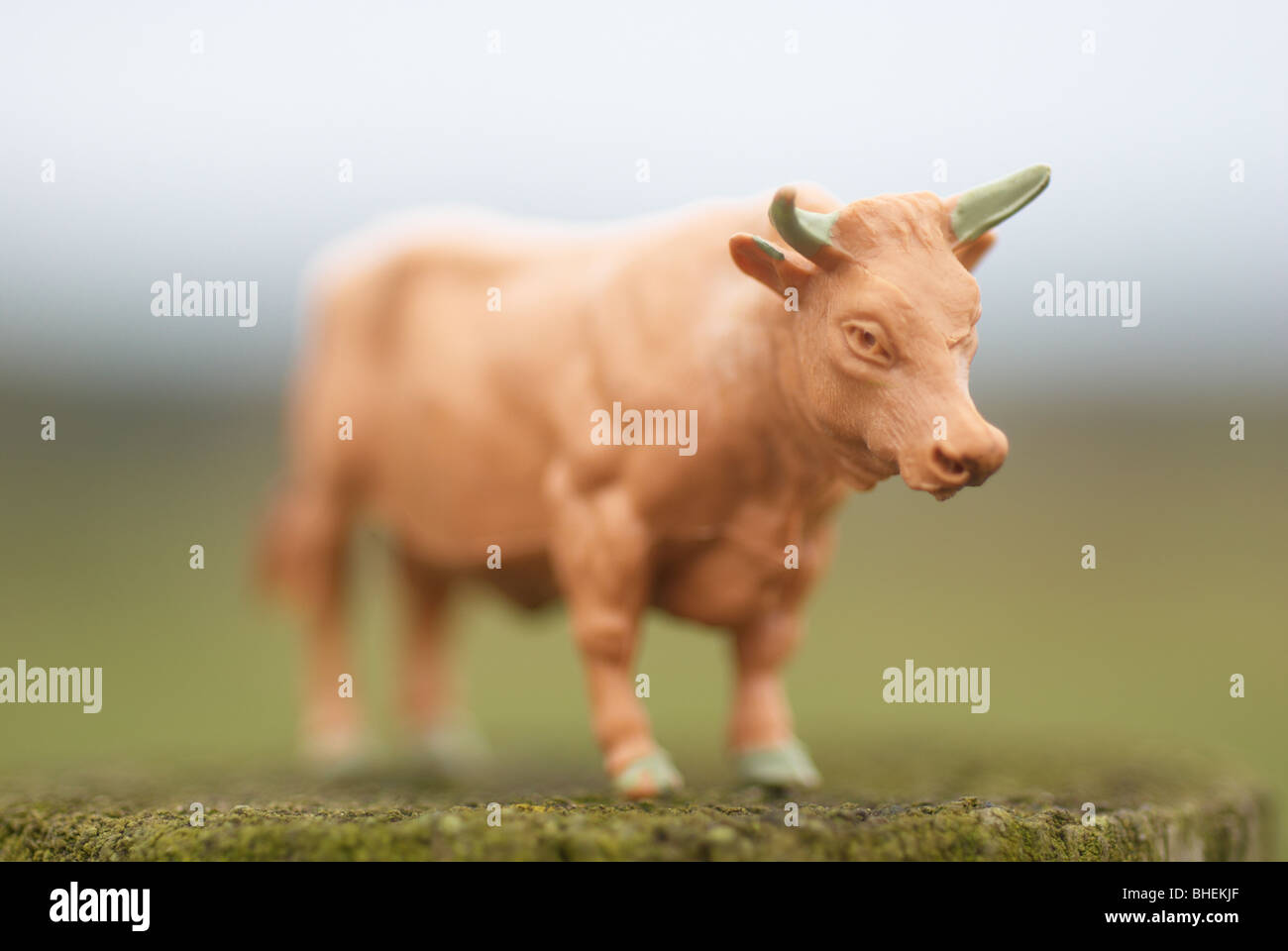 Model milking cow hi-res stock photography and images - Alamy