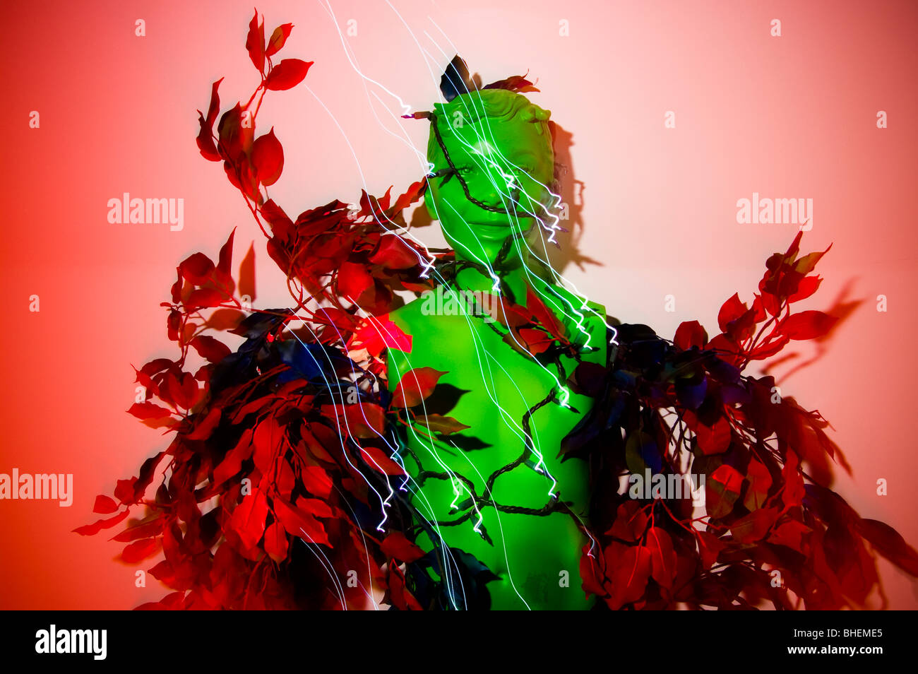 A moving still life Stock Photo - Alamy