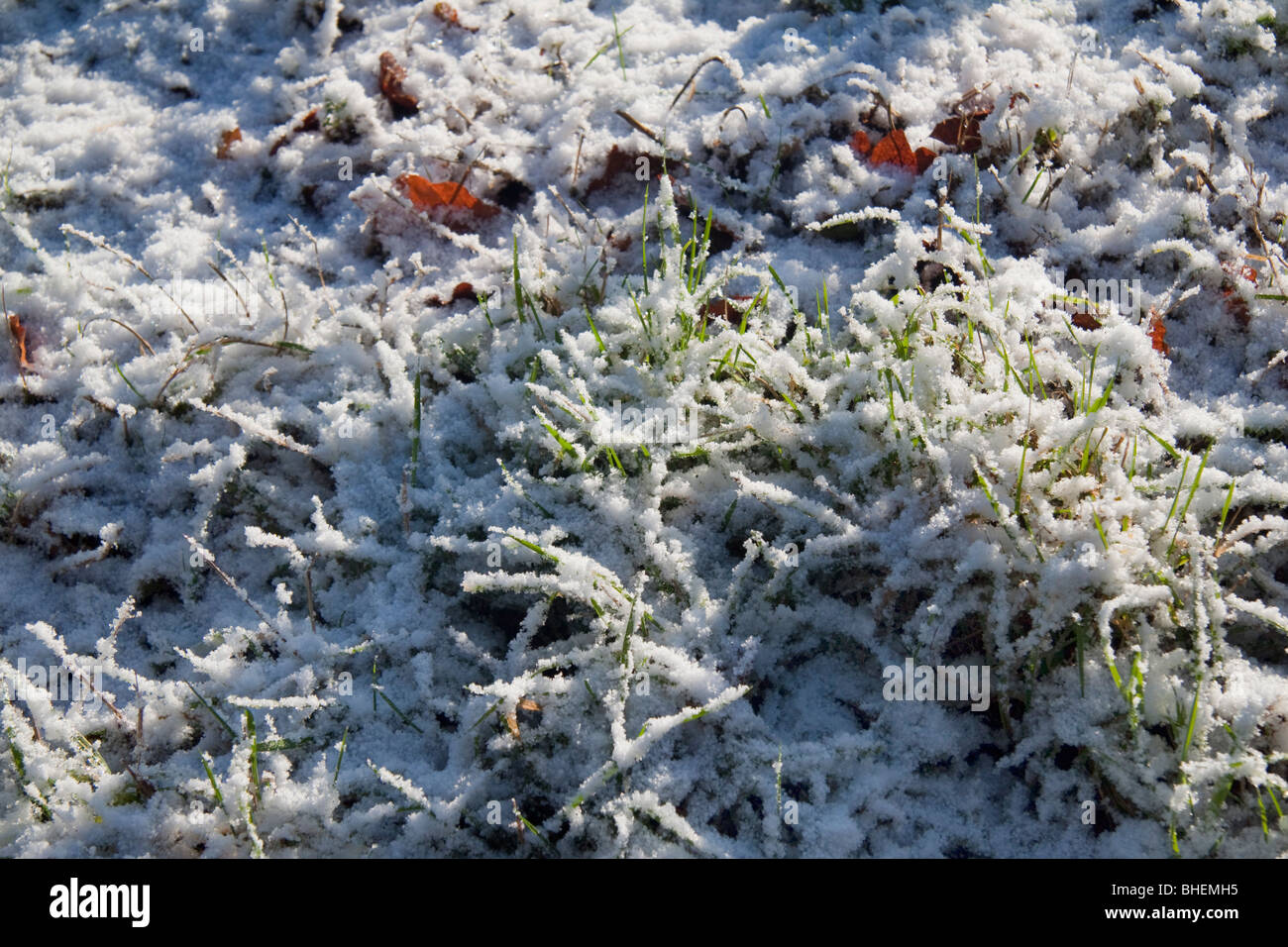 Snow on grass Stock Photo - Alamy