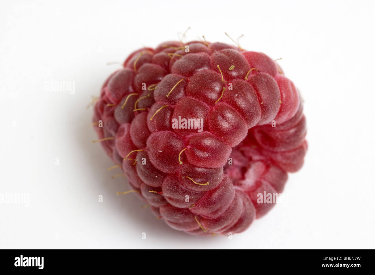 One red raspberry Stock Photo - Alamy