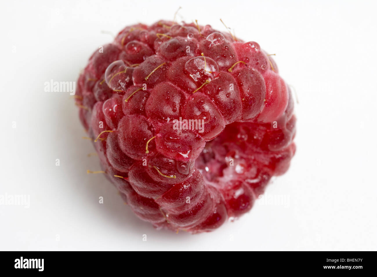One red raspberry Stock Photo - Alamy