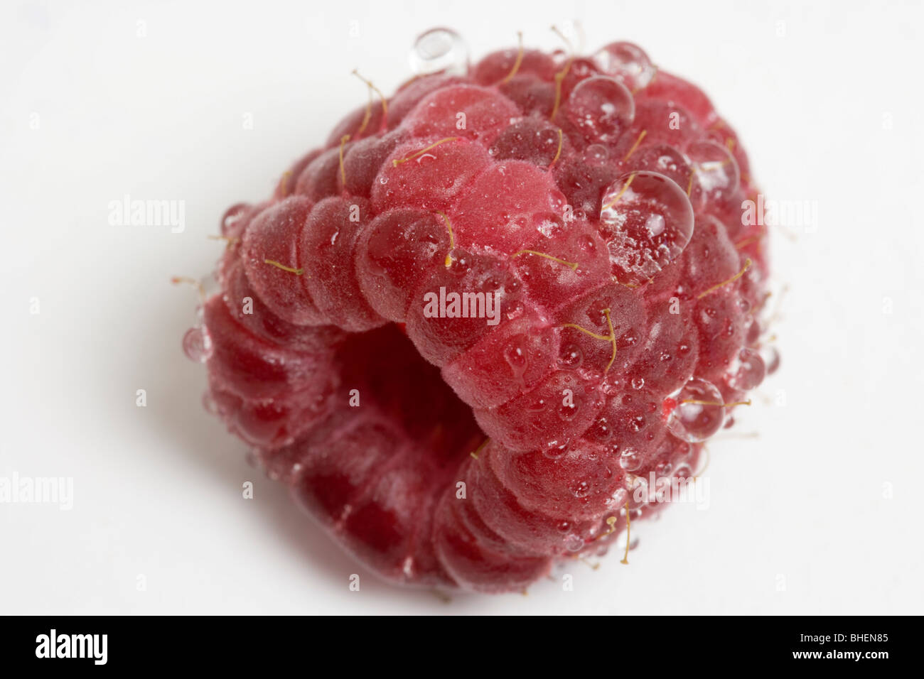 One red raspberry Stock Photo - Alamy