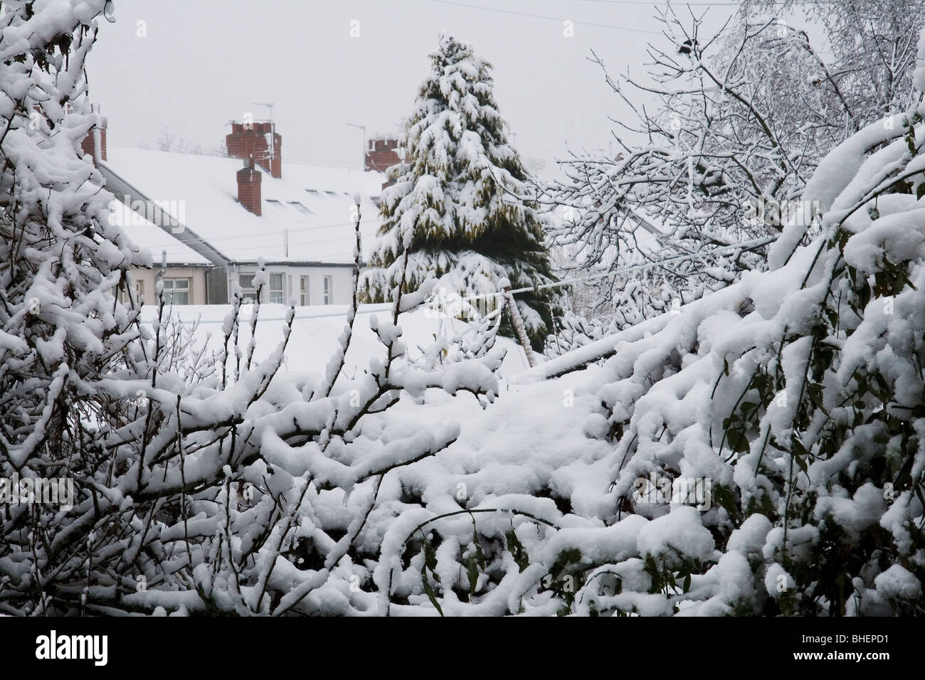 Snowy back garden scene Stock Photo - Alamy