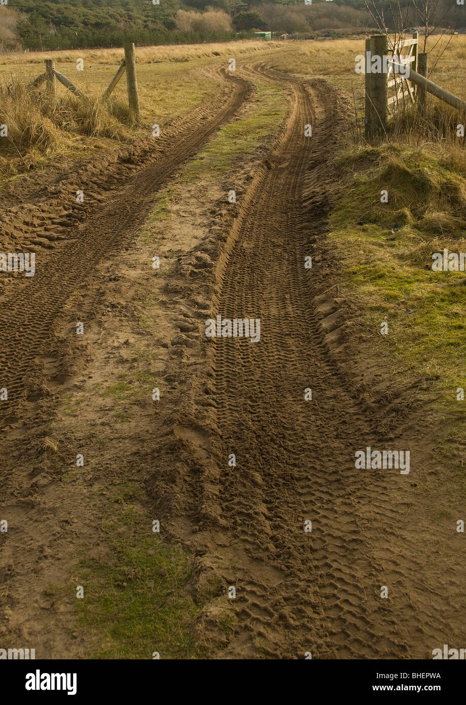 Sandy track hi-res stock photography and images - Alamy
