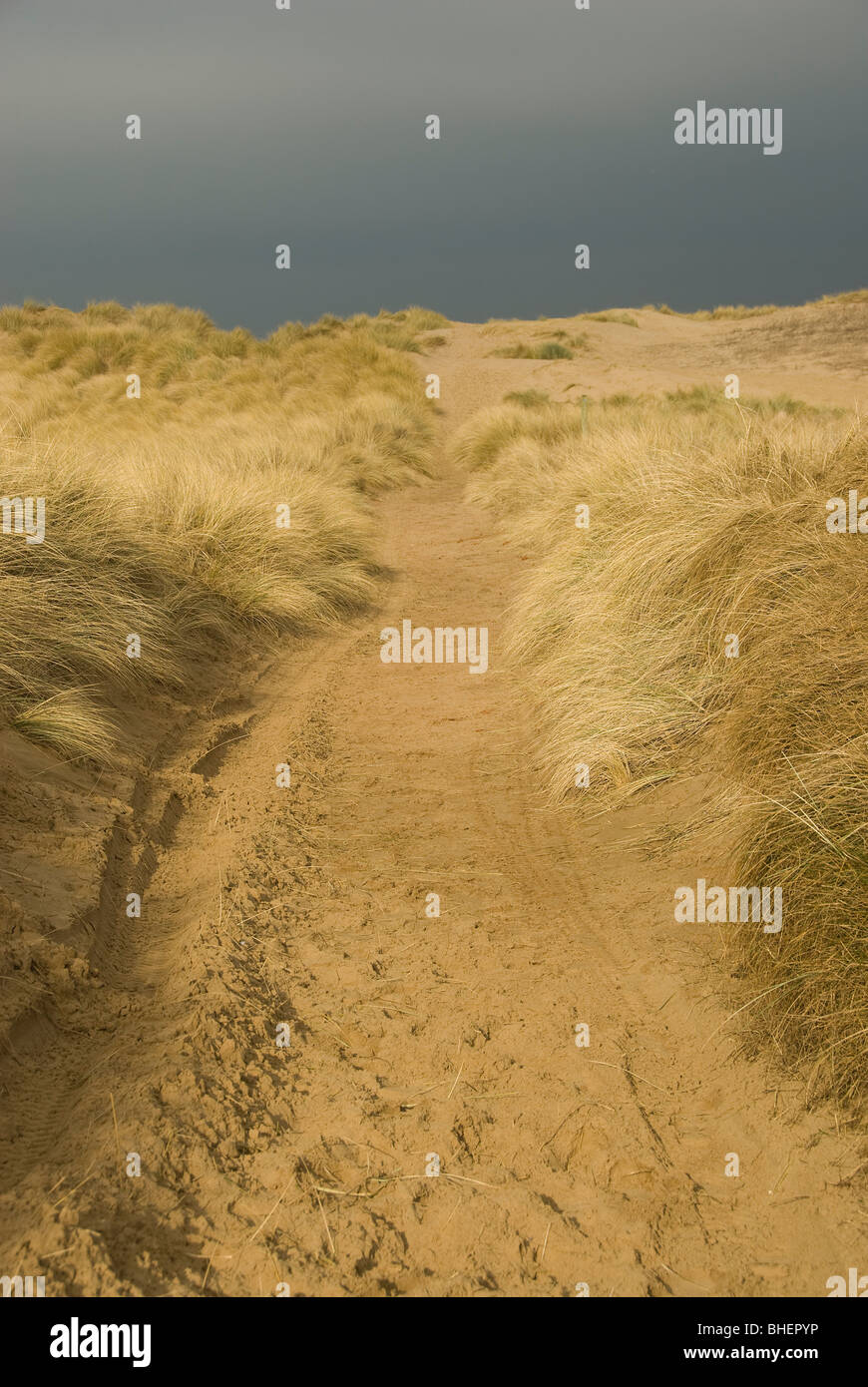 Path through sand dunes at Formby, Merseyside Stock Photo - Alamy