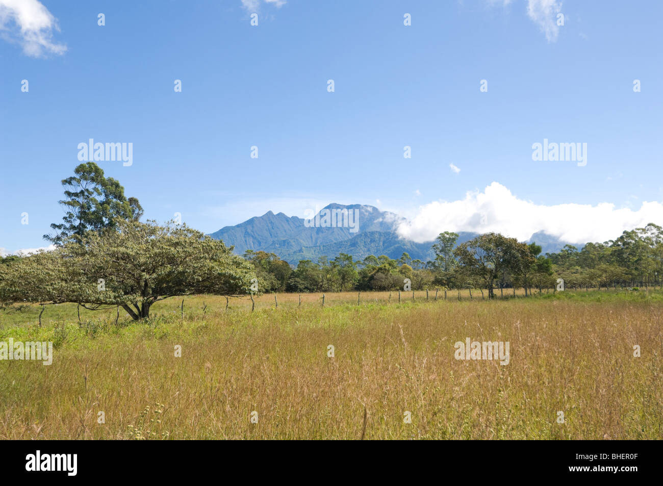 Volcan baru panama hi-res stock photography and images - Alamy