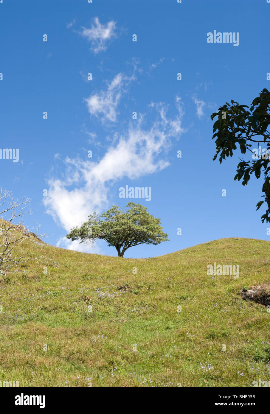 Panamá chiriqui hi-res stock photography and images - Alamy